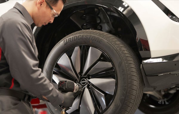 EV Ownership Experience