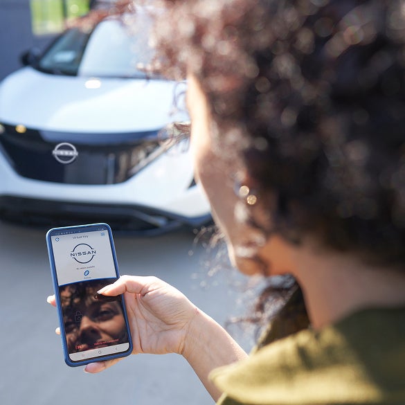 EV Ownership Experience